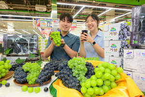 농협유통, 포도데이 앞두고 하나로마트서 포도 할인 판매
